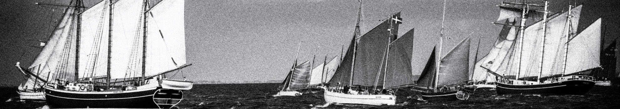 Limfjorden Rundt - Nordens største træskibssejlads