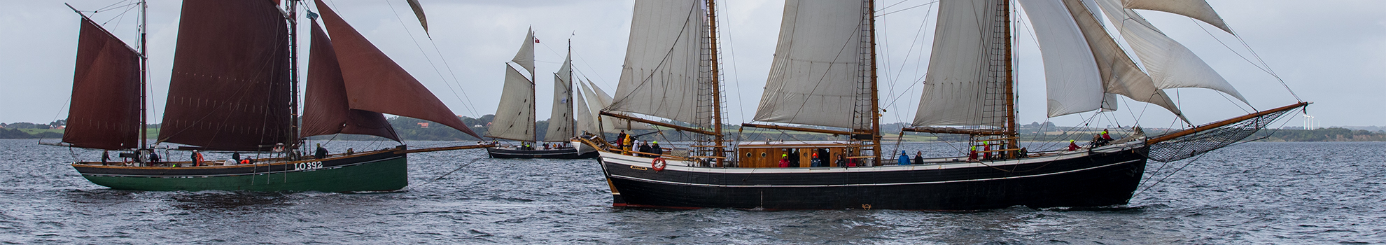 Limfjorden Rundt - Nordens største træskibssejlads