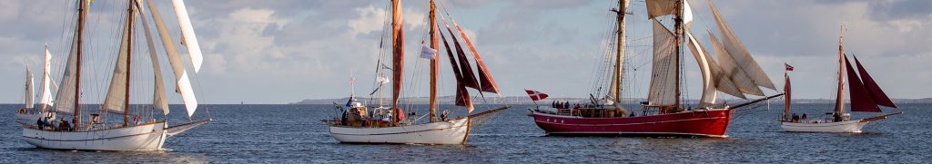 Limfjorden Rundt - Nordens største træskibssejlads